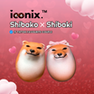 Shibako X Shibaki Bundle – iconix™