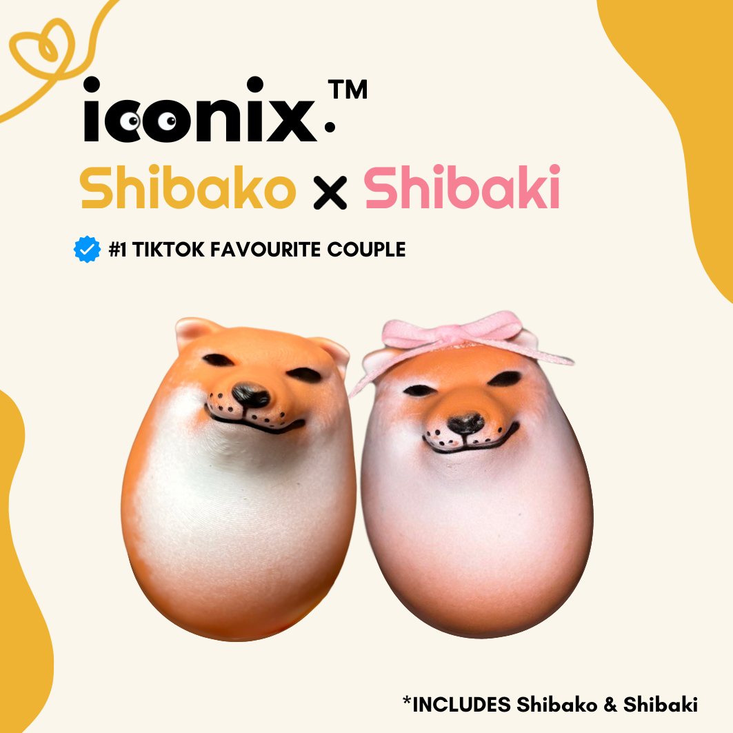 Shibako X Shibaki Bundle – iconix™
