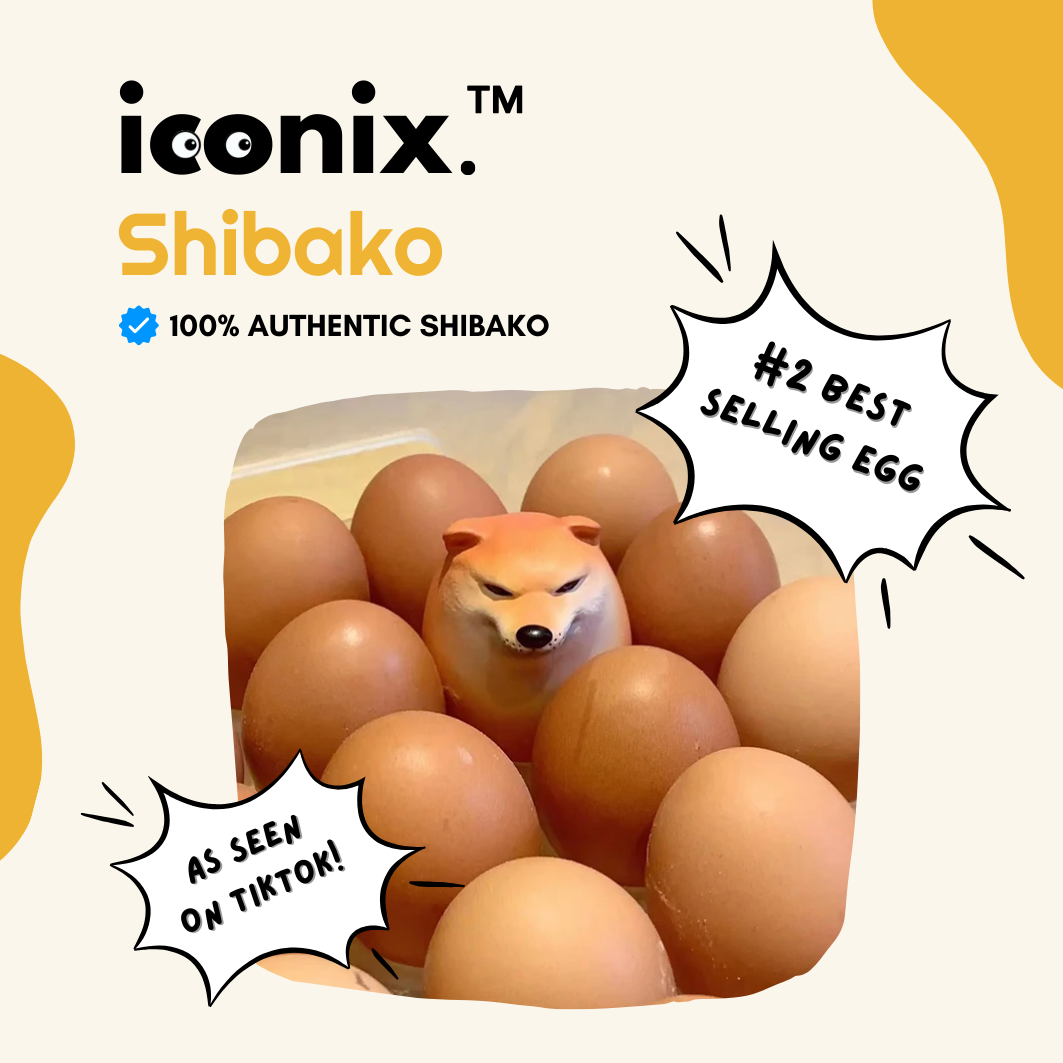 iconix™ | Authentic Viral Shibako Brand