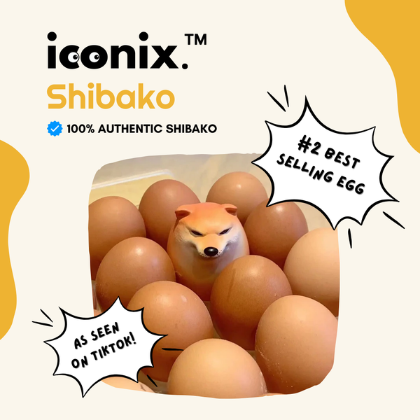 iconix™ | Authentic Viral Shibako Brand