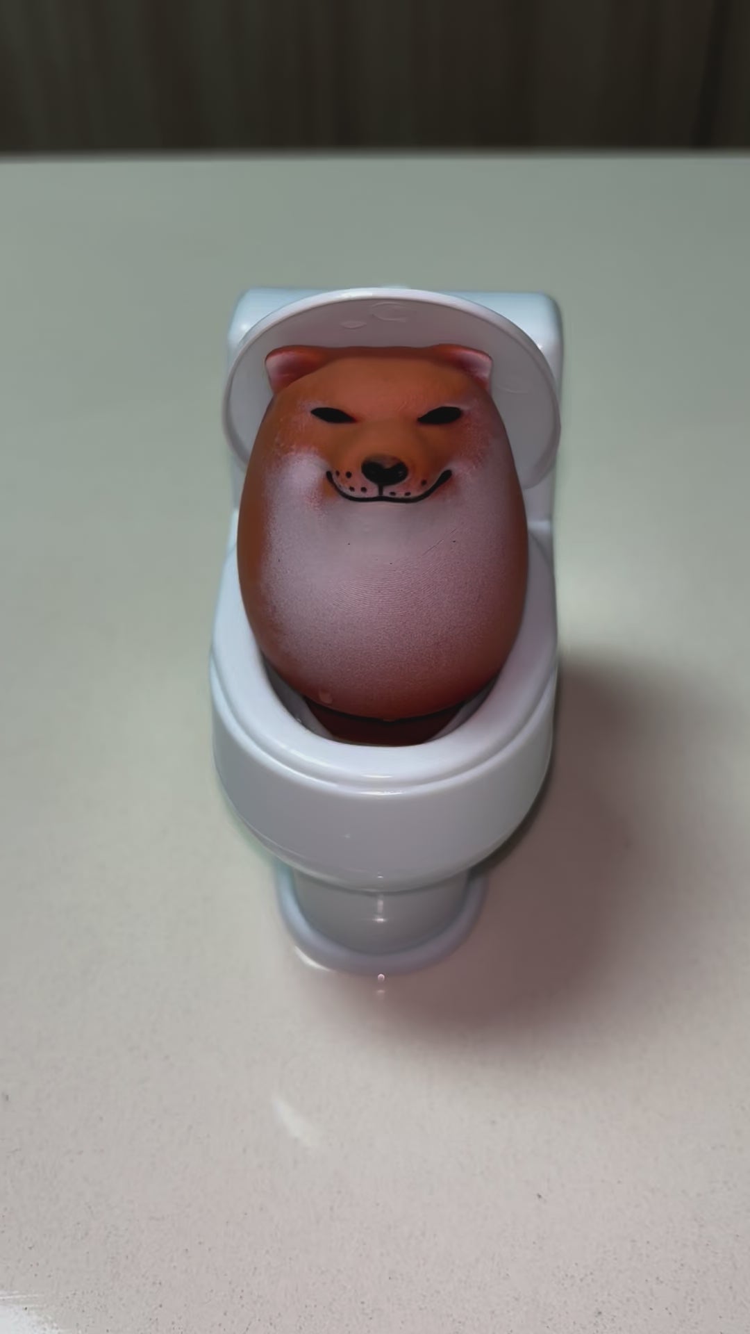 iconix™ | Authentic Viral Shibako Brand